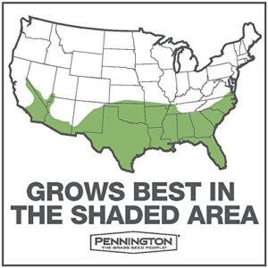 Pennington Bermuda Grass Seed - 5 lb