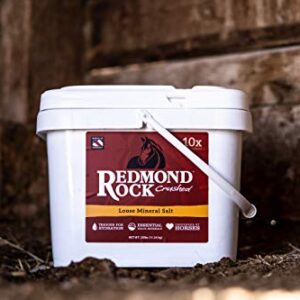 REDMOND Rock Crushed Loose Mineral Salt Electrolyte Supplement for Horses (25 LBS)