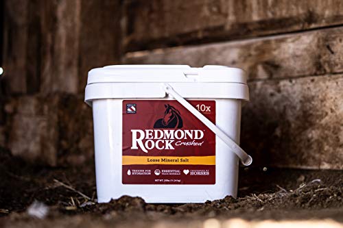 REDMOND Rock Crushed Loose Mineral Salt Electrolyte Supplement for Horses (25 LBS)