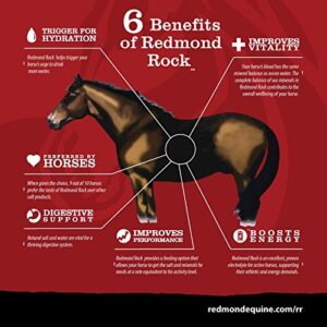 REDMOND Rock Crushed Loose Mineral Salt Electrolyte Supplement for Horses (25 LBS)