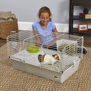 Cavie Guinea Pig Cage & Rabbit Cage | Pet Cage Includes ALL Accessories to Get You Started & a 1-Year Warranty