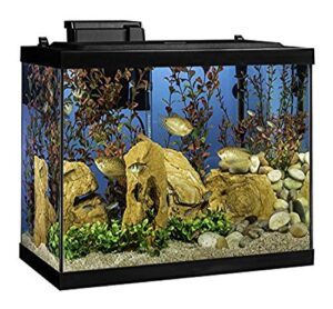 tetra aquarium 20 gallon fish tank kit, includes led lighting and decor