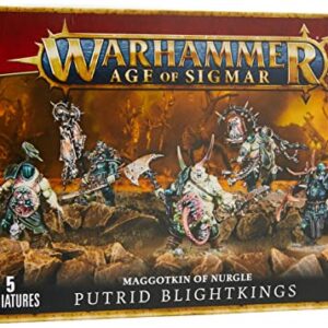 Games Workshop 99120201041 Nurgle Rotbringers Putrid Blightkings Tabletop and Miniature Gaming, Black