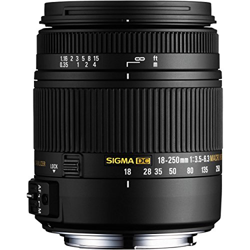 Sigma 18-250mm f3.5-6.3 DC Macro OS HSM for Canon (883101) (Renewed)