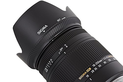 Sigma 18-250mm f3.5-6.3 DC Macro OS HSM for Canon (883101) (Renewed)