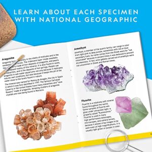 NATIONAL GEOGRAPHIC Mega Gemstone Dig Kit – Dig Up 15 Real Gemstones and Crystals, Science Kit for Kids, Gem Digging Kit, Gift for Girls and Boys, Mining Kit, Rock Collection (Amazon Exclusive)