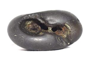 rudrakshguru laxmi narasimha shaligram