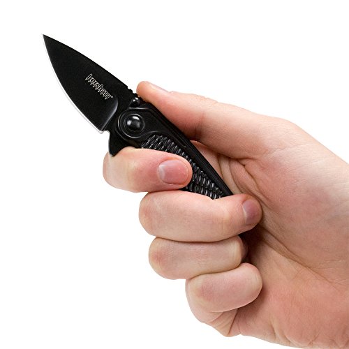 Kershaw Spoke Pocket Knife, 2" 4Cr14 Steel Blade with BlackWash Coatin, Compact Assisted-Opening EDC