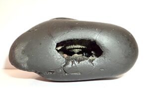 janardhana shaligram