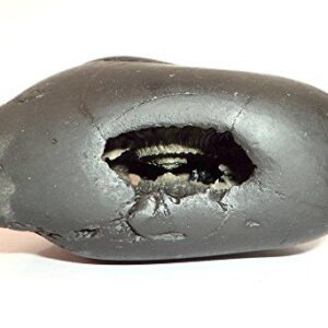 Janardhana Shaligram