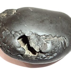 Janardhana Shaligram