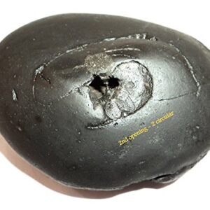 Janardhana Shaligram