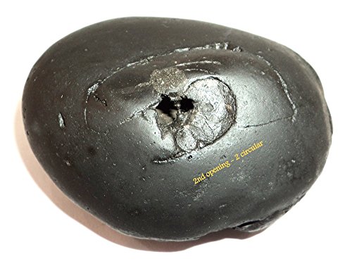 Janardhana Shaligram