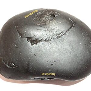 Janardhana Shaligram