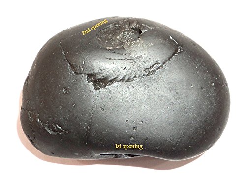 Janardhana Shaligram