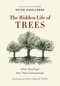 the hidden life of trees: what they feel, how they communicate—discoveries from a secret world (the mysteries of nature book 1)