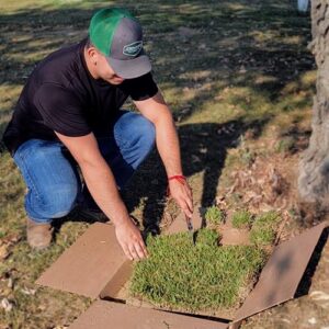 Zoysia Sod Slab for Plugs