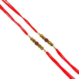 indiabigshop set of two rakhi, stone & moti, thread. rakhi, raksha bandhan gift for your brother, rakhi in pair, rakhi designer, vary color