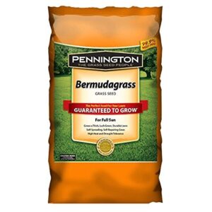 pennington seed 1 lb bermuda grass seed