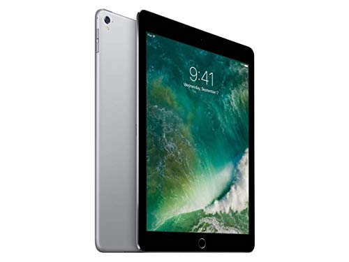 Apple iPad Pro (32GB, Wi-Fi + Cellular, Gray) 9.7in Tablet (Renewed)