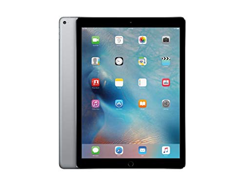 Apple iPad Pro (32GB, Wi-Fi + Cellular, Gray) 9.7in Tablet (Renewed)