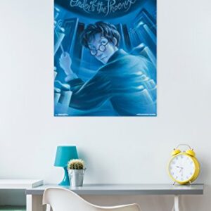 Trends International Harry Potter and the Order of the Phoenix Collector's Edition Wall Poster 24" x 36"