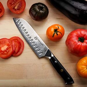 7-inch VG10 Santoku- 66 layers of High Carbon Damscus Stainless Steel Cladding—Kintaro Series—Kurouto Kitchenware