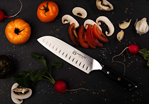 7-inch VG10 Santoku- 66 layers of High Carbon Damscus Stainless Steel Cladding—Kintaro Series—Kurouto Kitchenware