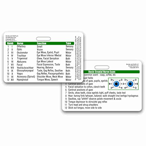 Cranial Nerve Exam Horizontal Badge Card (1 Card)