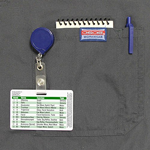 Cranial Nerve Exam Horizontal Badge Card (1 Card)