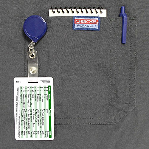 Cranial Nerve Exam Vertical Badge Card (Pack of 5)