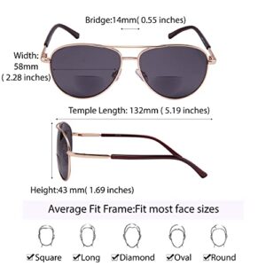 EYEGUARD Unisex Classic Style Bifocal Sunglasses Readers with Lens UV400 Protection Outdoor Reading Glasses for Men and Women