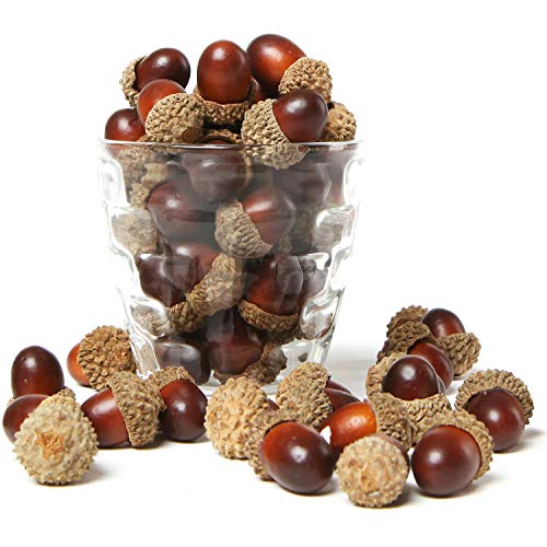 MyGift 100 Pieces Brown Assorted Artificial Acorn Caps, Autumn Vase Filler Decorations