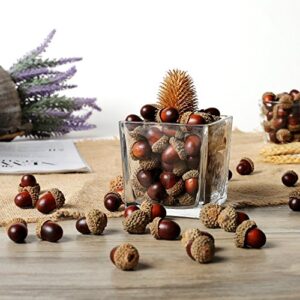 MyGift 100 Pieces Brown Assorted Artificial Acorn Caps, Autumn Vase Filler Decorations