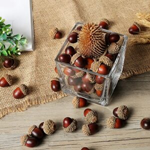 MyGift 100 Pieces Brown Assorted Artificial Acorn Caps, Autumn Vase Filler Decorations