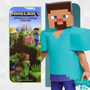 Steve Deluxe Minecraft Costume, Multicolor, Medium (7-8)