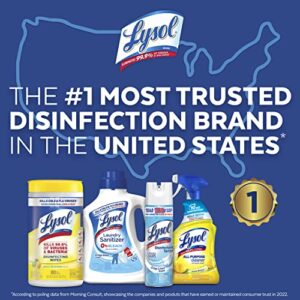 Lysol Laundry Sanitizer Additive, Sanitizing Liquid for Clothes and Linens, Eliminates Odor Causing Bacteria, Crisp Linen, 41oz