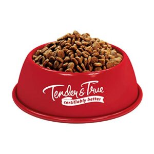 Tender & True Antibiotic-Free Chicken & Brown Rice Recipe Dog Food, 4 lb