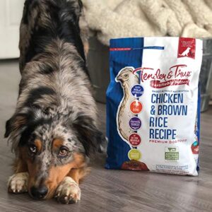 Tender & True Antibiotic-Free Chicken & Brown Rice Recipe Dog Food, 4 lb