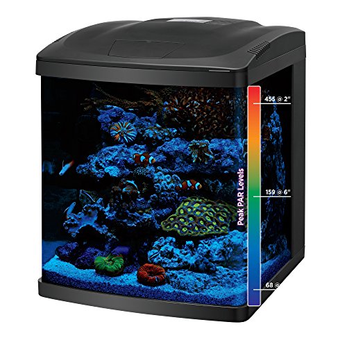 Coralife LED BioCube Aquarium Fish Tank Kit, 16 Gallon