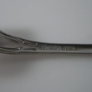 Arbor Rose/True Rose by Oneida, Stainless Teaspoon