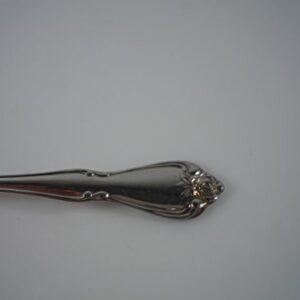 Arbor Rose/True Rose by Oneida, Stainless Teaspoon