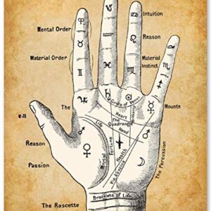 Palm Reading Divination Chart - Classic Fortune Teller Decor, Chiromancy Wall Art, Gift for Oddity Palm Readers, Palmistry and Astrology Fans, 11x14 Unframed Art Print Poster