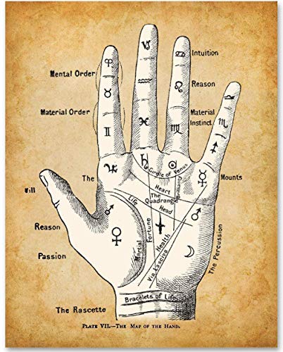 Palm Reading Divination Chart - Classic Fortune Teller Decor, Chiromancy Wall Art, Gift for Oddity Palm Readers, Palmistry and Astrology Fans, 11x14 Unframed Art Print Poster