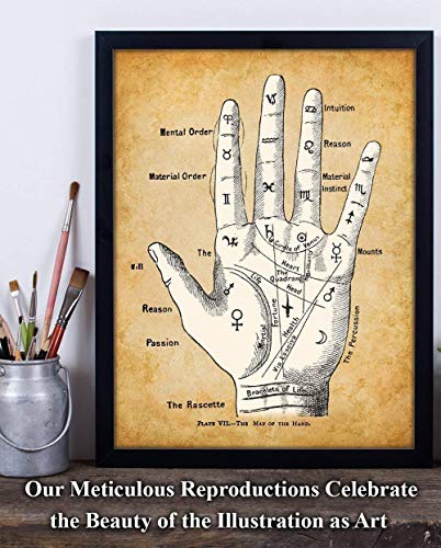 Palm Reading Divination Chart - Classic Fortune Teller Decor, Chiromancy Wall Art, Gift for Oddity Palm Readers, Palmistry and Astrology Fans, 11x14 Unframed Art Print Poster