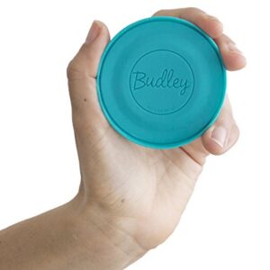 Budley - Tangle-Free Earphone/Earbud Case, Compact Storage System, Silicone (Teal, Set of 1)