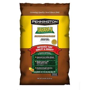 pennington sahara ii bermuda grass seed - 50 lbs.