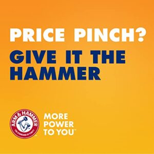 Arm & Hammer Baking Soda, 1 Pound (Pack of 12)