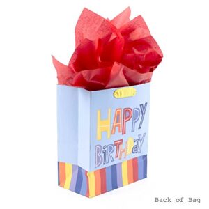 Hallmark 9" Medium Gift Bag with Tissue Paper (Happy Birthday, Rainbow Stripes on Light Blue)