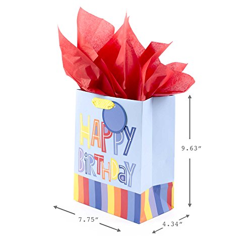 Hallmark 9" Medium Gift Bag with Tissue Paper (Happy Birthday, Rainbow Stripes on Light Blue)